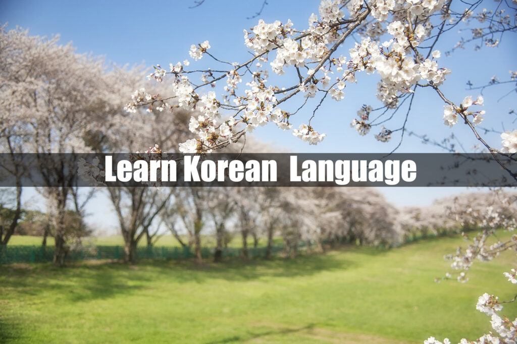 Learn Korean Language New Program | Amazing Korean Class 101 | Learn ...